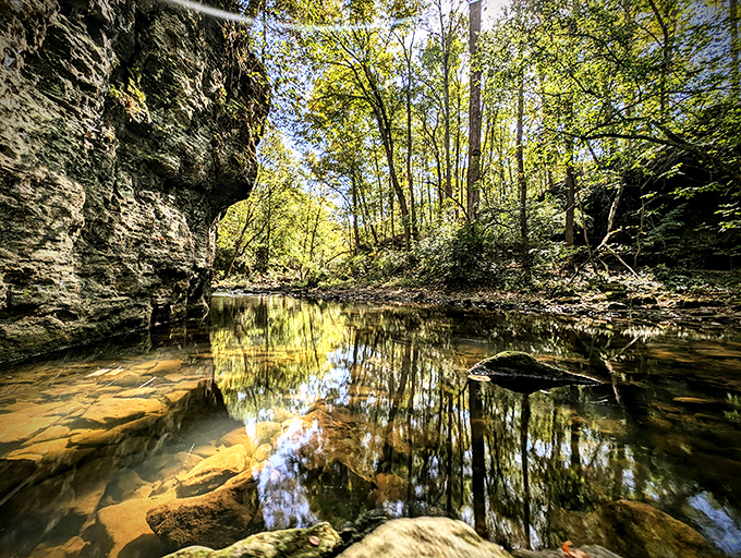 The creek's reflective surface works better than any meditation app. Instant tranquility without subscription fees or software updates.