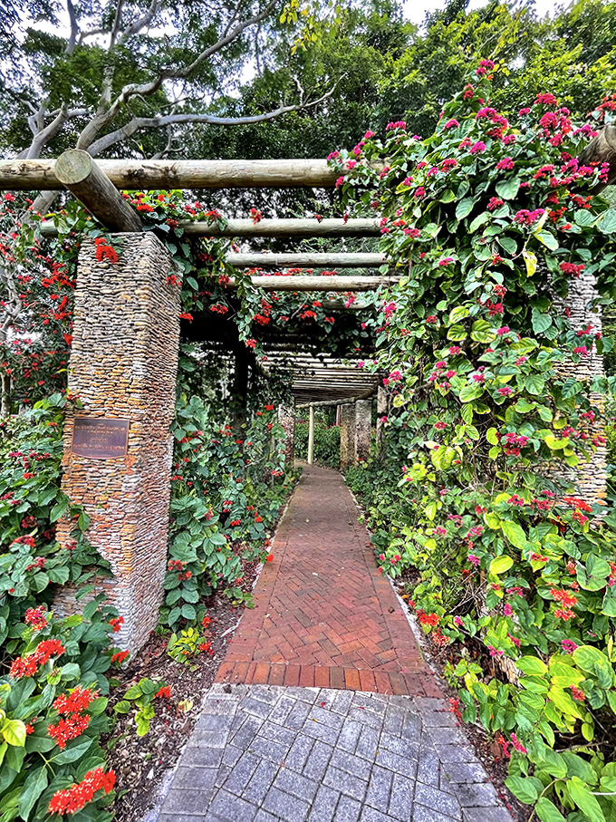 Bougainvillea cascades in shocking pink waves over this pergola, creating a tunnel that feels plucked straight from a fairy tale.
