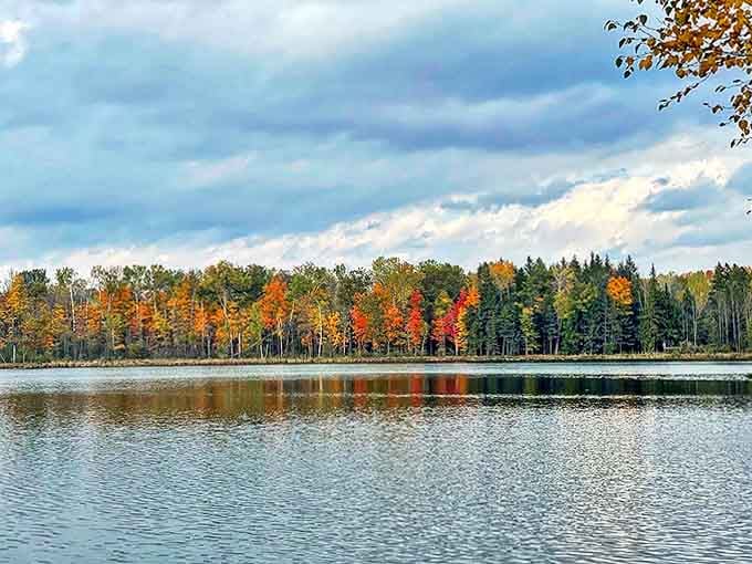 Fumee Lake Natural Area offers mirror-like reflections of autumn's fiery display, a peaceful sanctuary where nature speaks in hushed tones.