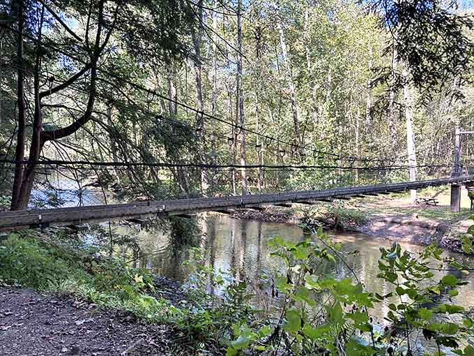This rustic wooden footbridge dangles tantalizingly over the gentle flow below, promising both thrills and tranquility.