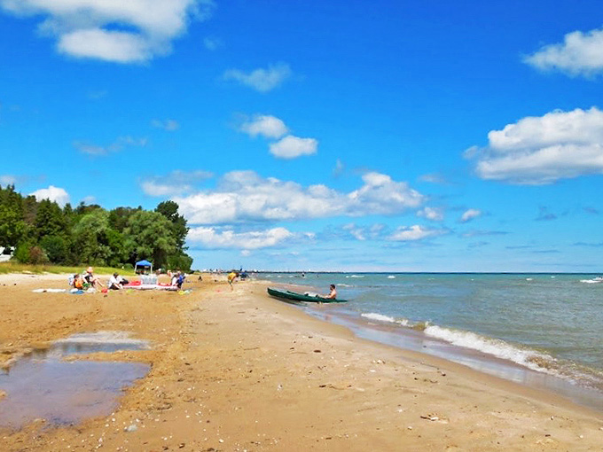 Lake Huron's crystal waters create nature's perfect swimming pool at Harrisville Beach, where summer memories are made one splash at a time.