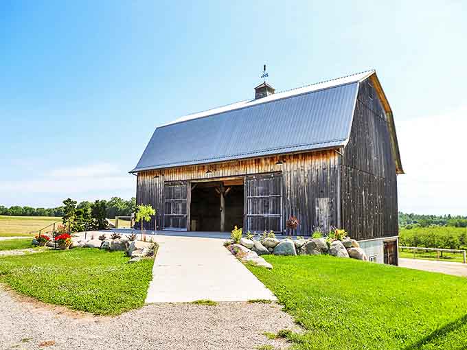 This isn't just any barn &ndash; it's a cathedral to winemaking, where weathered wood and metal roofing house unexpected delights.