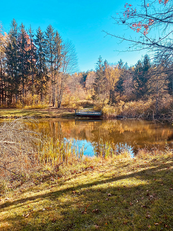 Horseshoe Pond offers mirror-perfect reflections where the sky meets earth in a tranquil embrace.