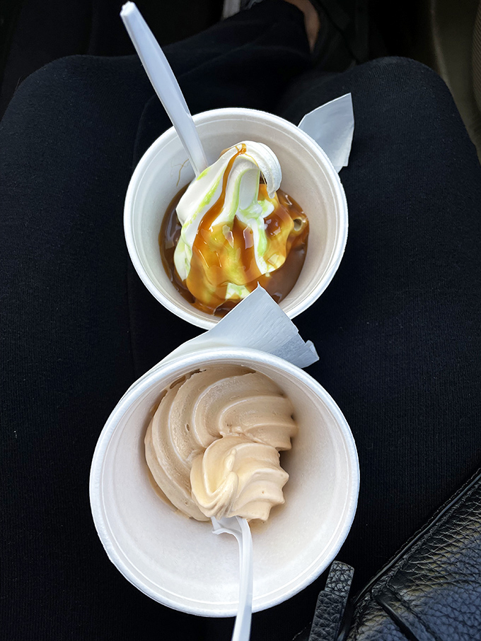 Ice Cream: Two cups of heaven &ndash; one topped with caramel, the other pure creamy perfection. Simple pleasures are often the most profound.