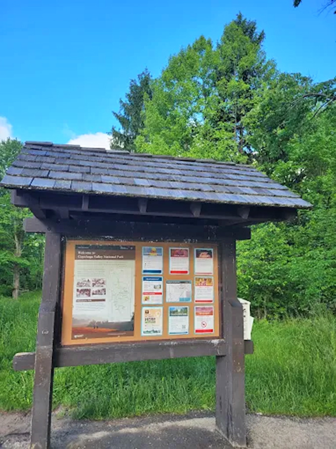 The information board stands sentinel at the park entrance, promising adventures that even Indiana Jones would find Instagram-worthy.