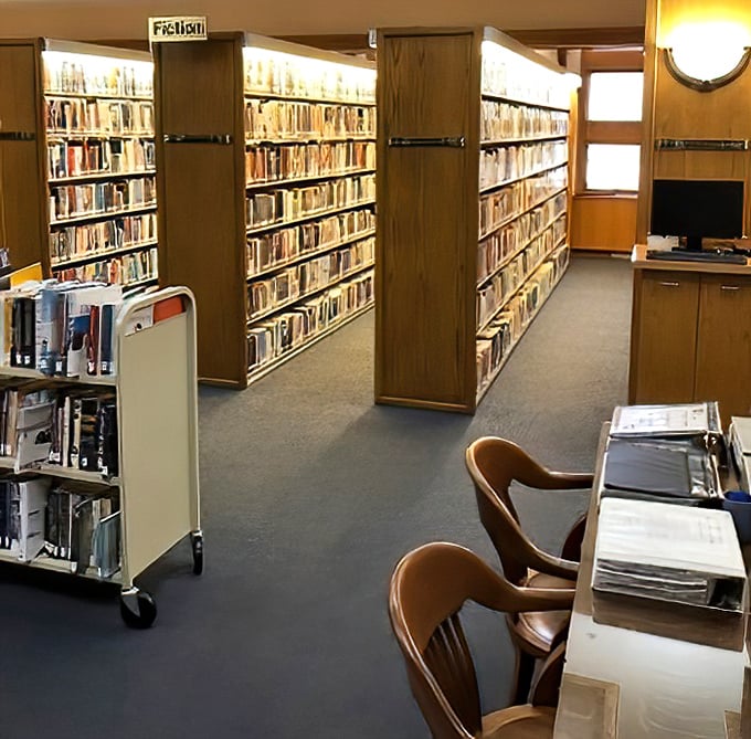 Rows upon rows of literary treasures await discovery, organized with a precision that would make any bibliophile's heart skip a beat.