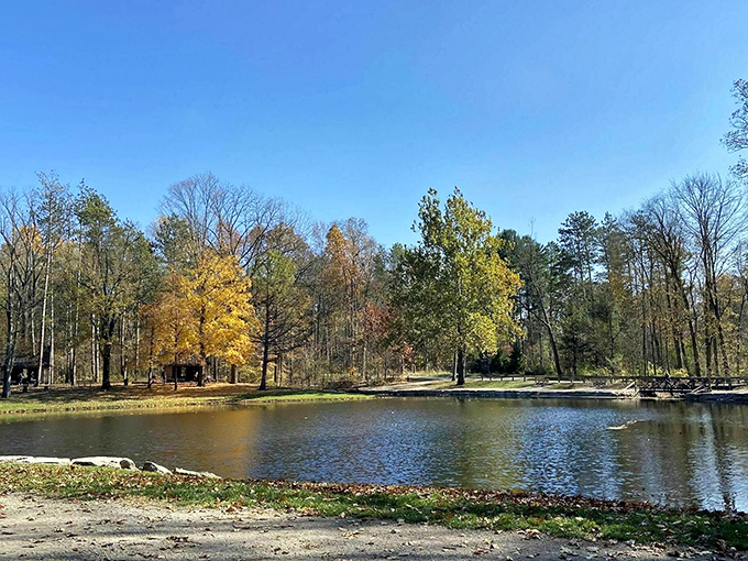 Mallard Lake mirrors the surrounding forest like a giant looking glass, proving that sometimes the best reflections happen outside bathroom mirrors.
