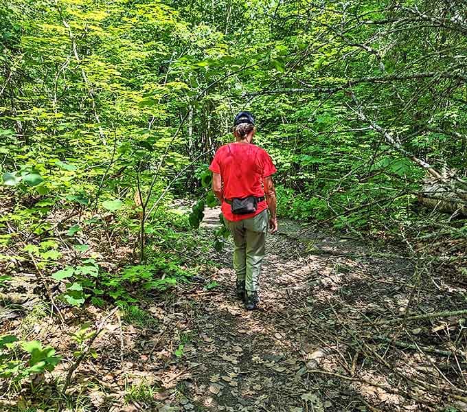Nature's own meditation path, where footsteps on fallen leaves create a rhythm that syncs perfectly with your heartbeat.