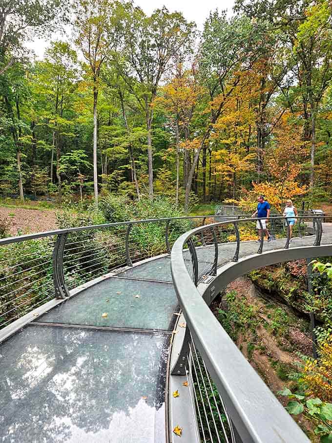 Walking on air! This modern glass walkway offers thrilling views of the forest below, combining engineering marvel with natural splendor.