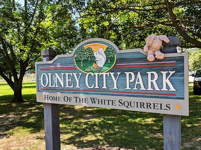 Olney City Park: Where white squirrels reign supreme and visitors become amateur wildlife photographers faster than you can say "cheese!"