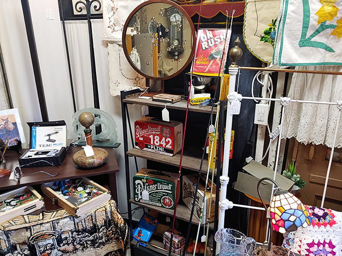 Vintage collectibles create a museum you can actually shop, where touching the merchandise is encouraged rather than forbidden.