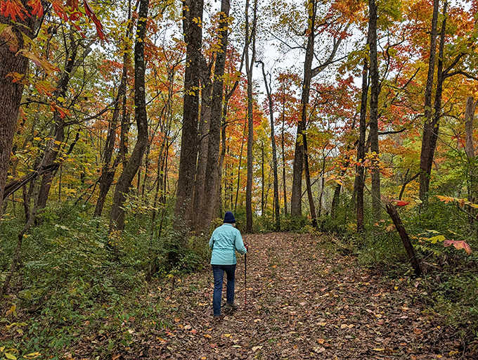 The path less traveled beckons through a kaleidoscope of fall foliage, where every step crunches with seasonal satisfaction.