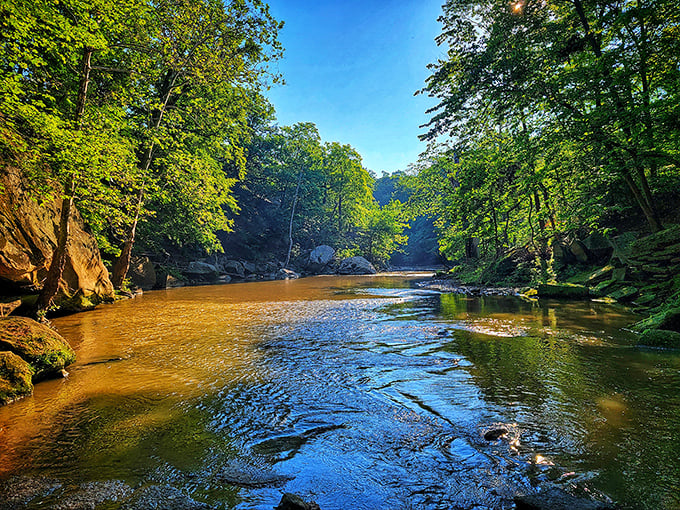 The Black River carves its ancient path through Elyria's sandstone heart, creating a golden-hued sanctuary where time seems to slow its hurried pace.