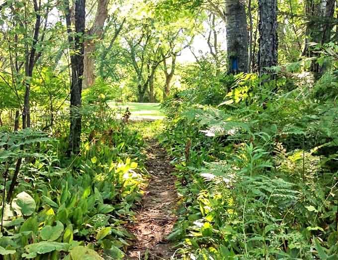 The Riverside Trail beckons with paths that wind through forests so lush and green, you'll feel like you've stepped into a nature documentary.