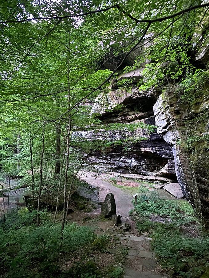 Nature's cathedral: towering rock formations create dramatic spaces where sunlight filters through like stained glass windows.