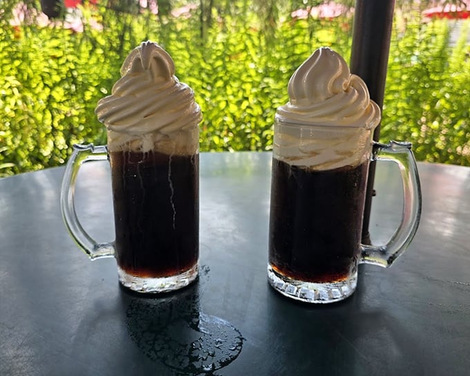 Twin towers of deliciousness: Root beer floats served in frosty mugs, where homemade root beer meets creamy vanilla ice cream in perfect harmony.