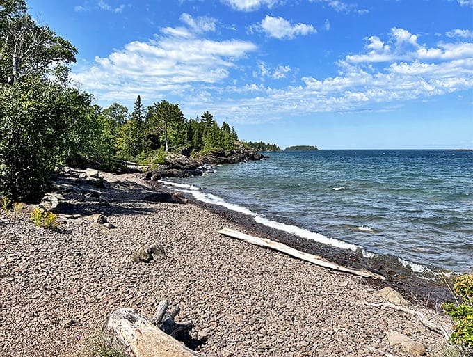 Where forest meets freshwater &ndash; Esrey Park's pebble beach offers a front-row seat to nature's greatest show.