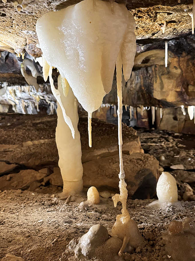 These magnificent stalactites transform the cave ceiling into a geological masterpiece that's been thousands of years in the making.