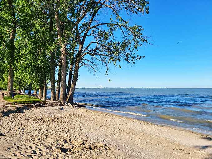 Sterling State Park's Lake Erie beach offers sandy shores and stunning sunsets that rival any coastal destination you've ever visited.