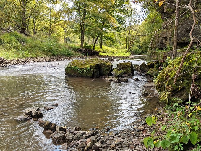 Crystal clear waters of the Apple River meander through the canyon, inviting contemplation and the occasional brave toe-dip on warmer days.