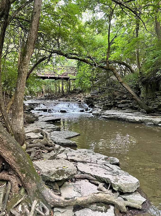 The stream below Hayden Falls meanders like a liquid daydream, creating nature's version of a spa day for anyone smart enough to visit.