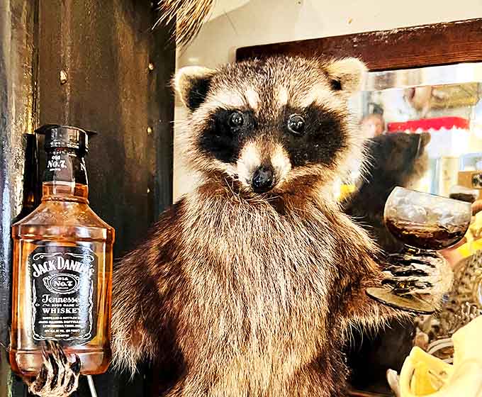 This dapper little fellow seems to be enjoying his Jack Daniel's a bit too much &ndash; the ultimate party animal frozen in time.