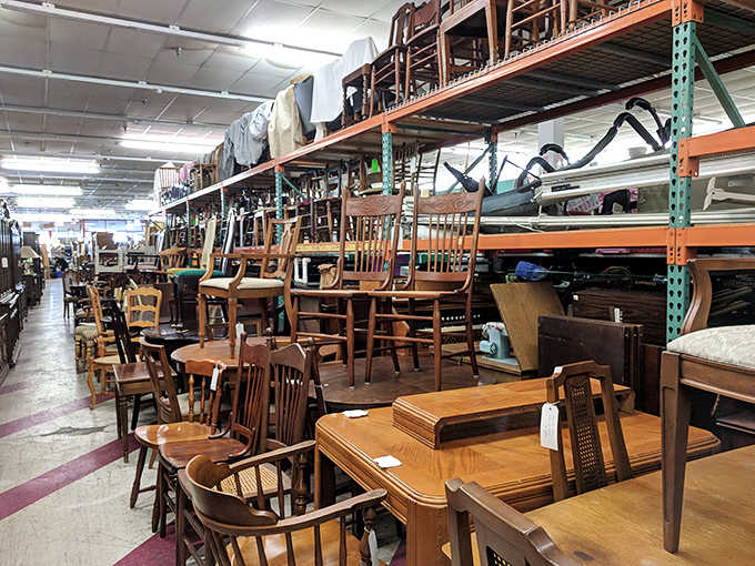 Chairs upon chairs upon chairs &ndash; a furniture forest where mid-century modern meets Victorian elegance in a time-traveling design showroom.