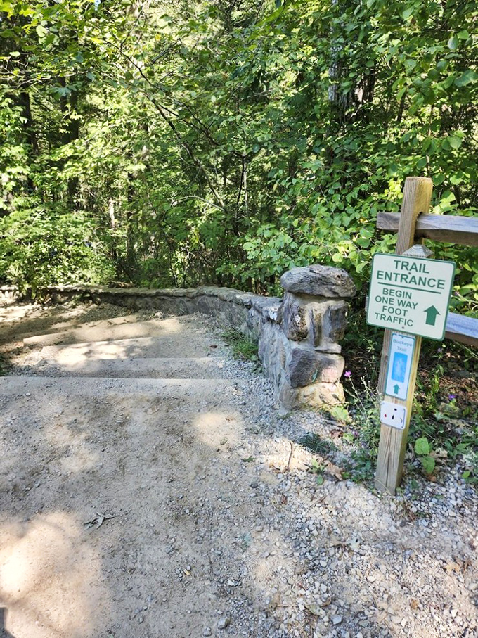 The journey begins here! This unassuming trail entrance is your portal to a hidden world of geological wonders.