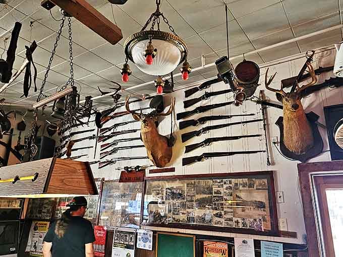 This wall of trophies and antlers represents decades of hunting stories, each rack a reminder that nature doesn't mess around up here.