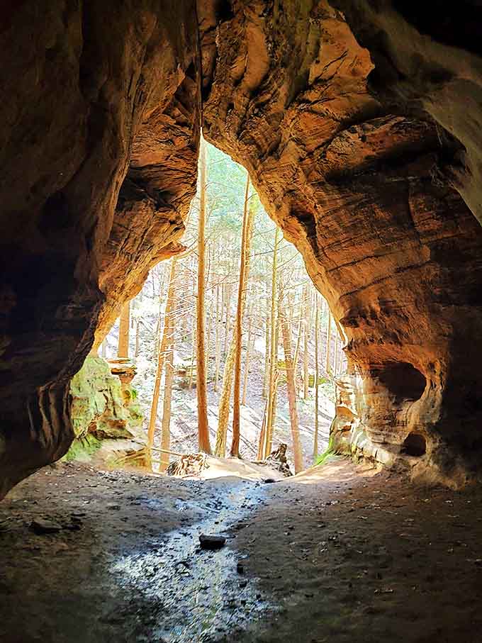 Looking outward from darkness to light, the cave's natural window frames the forest beyond like a living painting constantly changing with seasons.