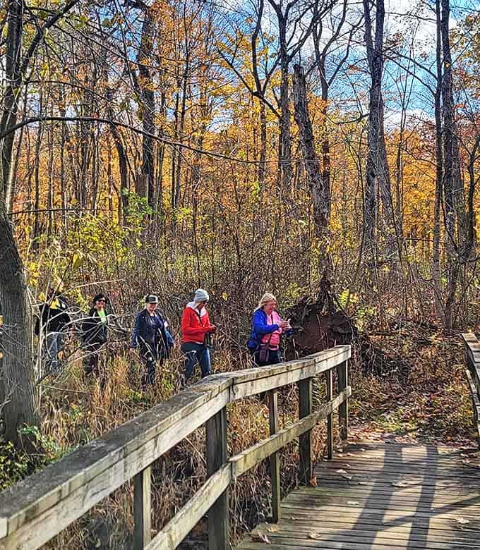 Hikers explore autumn's splendor on the wooden boardwalk, their colorful jackets complementing nature's palette like seasoned art directors planning the perfect outdoor shoot.