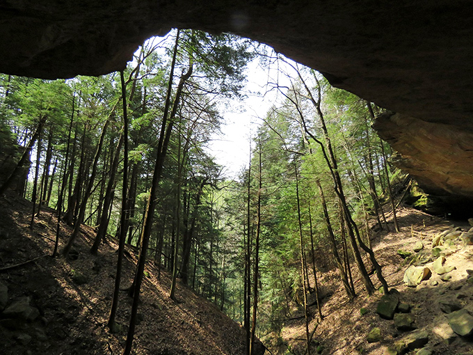 Whispering Cave opens to the forest like nature's own cathedral, where even the least spiritual person might feel a moment of reverence.