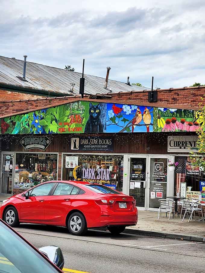 Vibrant murals and eclectic storefronts create the backdrop for Dark Star Books, where literature and local art collide under watchful feline supervision.