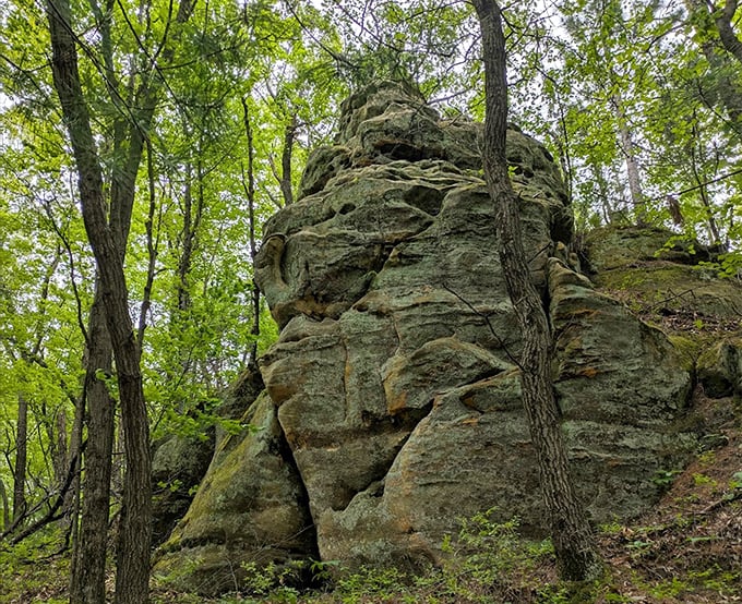 Ancient stone sentinels stand guard among the trees, their weathered faces telling tales of glacial forces and prehistoric seas. Nature's sculpture garden.