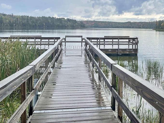 This weathered boardwalk invites exploration through wetlands teeming with life &ndash; like nature's red carpet leading to hidden treasures.