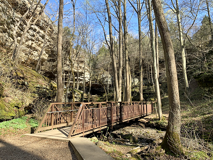 Bridge: Cross over the rocky creek bed on this sturdy bridge while taking in the towering bluffs and soaring trees.