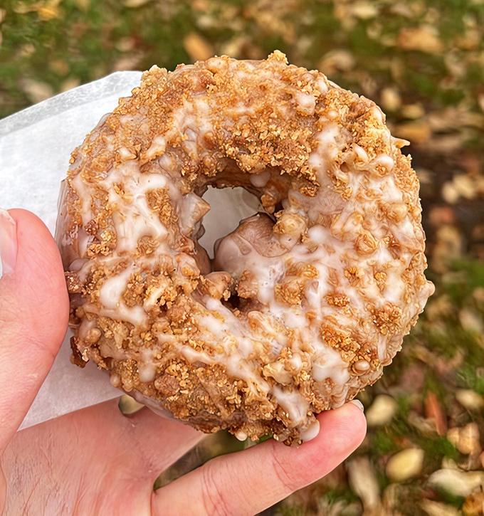 This cinnamon coffee cake donut isn't just wearing its streusel topping &ndash; it's strutting it like a fashionista on a catwalk.