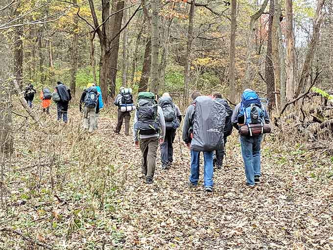 Hikers traverse the autumn trail, their colorful backpacks punctuating the forest's muted palette like confetti against nature's canvas.