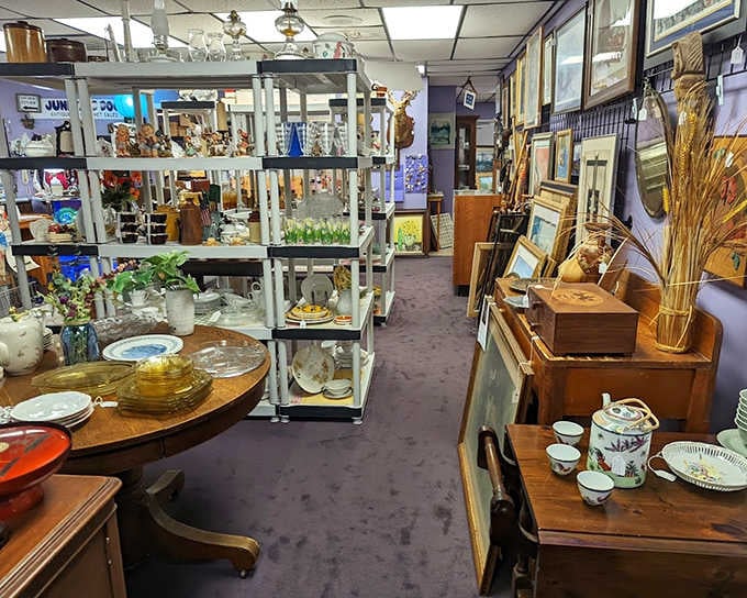 Navigate these aisles like an archaeological dig, where each layer reveals different eras and every corner holds potential treasures from America's past.