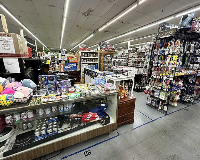 The interior sprawls like a treasure hunter's fever dream, with aisles stretching into the distance and promising discoveries around every corner you haven't explored yet.