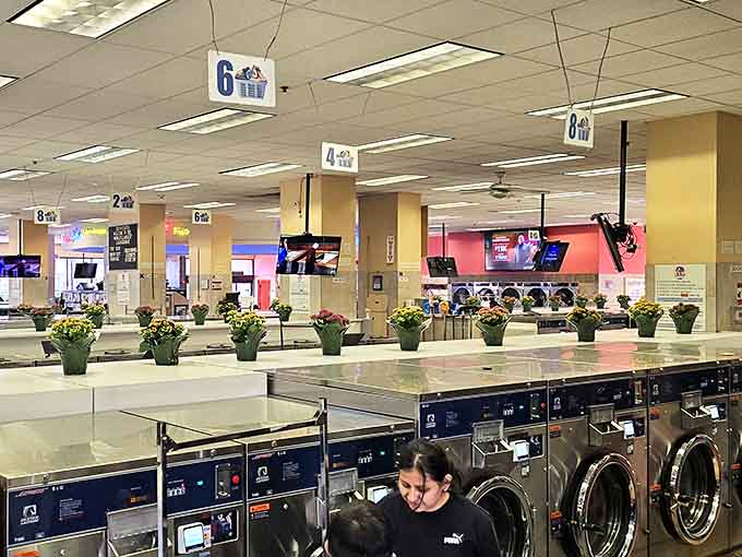 Inside reveals an almost sci-fi landscape of machines stretching toward the horizon, like some laundry-themed space station.