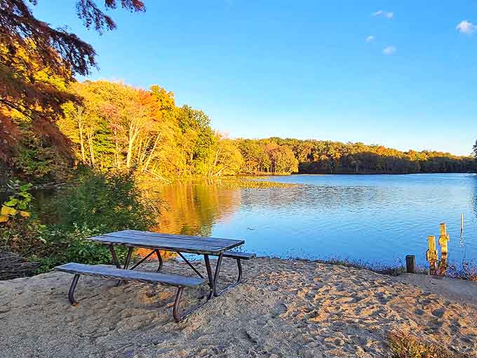 The perfect lakeside picnic spot where conversations flow as easily as the gentle ripples on Red Hills Lake's sun-kissed surface.