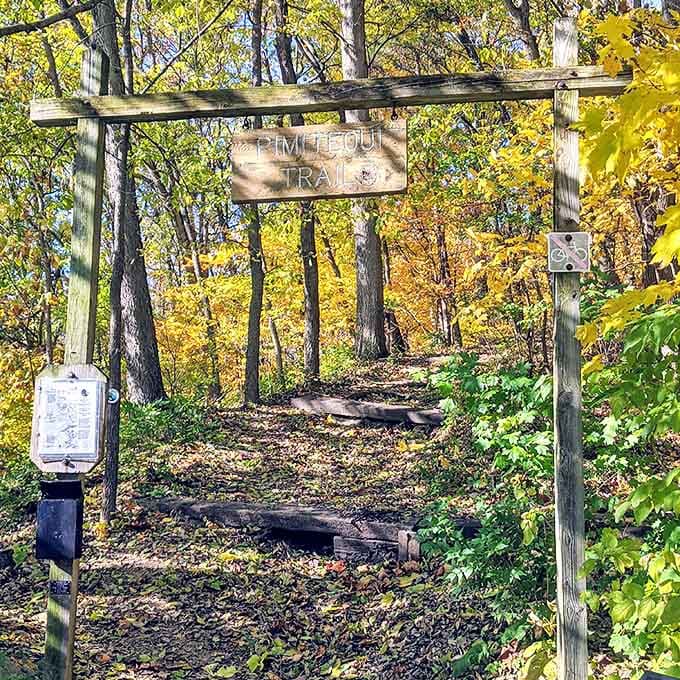 The Pimiteoui Trail sign stands like a wooden sentinel, promising adventures that no smartphone notification could ever match.