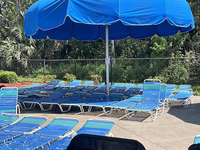 Blue lounge chairs await sun-seekers under vibrant umbrellas, providing the perfect command center for alternating between napping and people-watching.