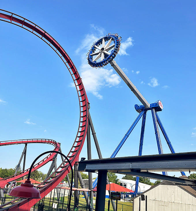 When roller coasters and pendulum rides hang out together, they're probably comparing notes on whose riders scream louder.