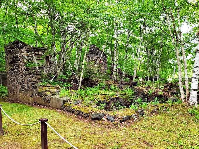 Nature slowly reclaims what man built, with birch trees growing among stone foundations that once housed dreams of copper riches.