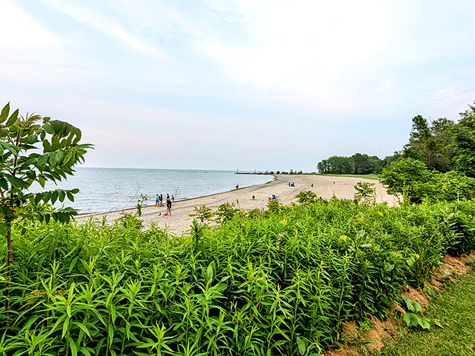 Lush greenery frames the beach view, offering pockets of shade for those seeking respite from the summer sun.