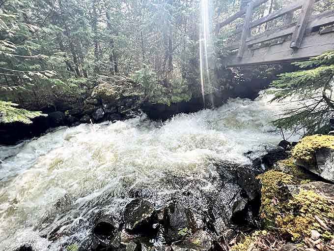 The rushing waters carve their determined path through rock formations, a geological masterpiece millions of years in the making.