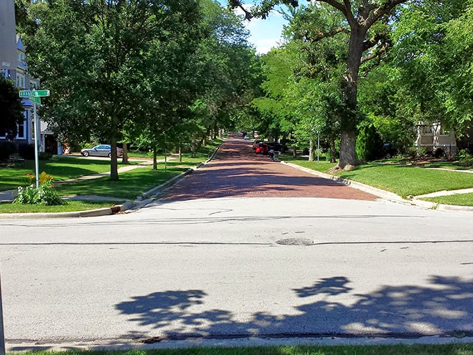 Brick-paved streets lined with mature trees create tunnels of dappled sunlight, inviting leisurely strolls through historic neighborhoods.