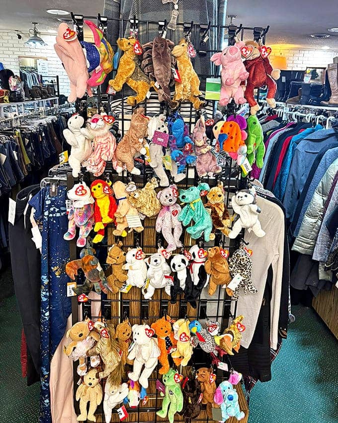 Beanie Baby heaven! Collectors will swoon over this colorful display of plush companions, tags intact and ready for adoption.